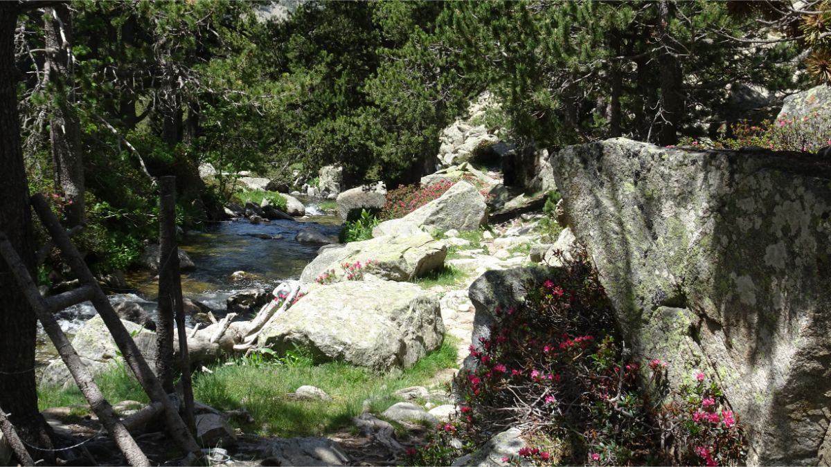 GR11 – Stage 31 – Encamp to Wild Camping | Trails Talk - Hiking the ...